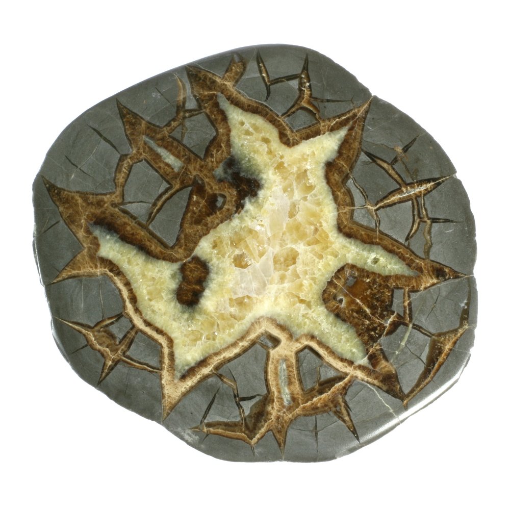 Septarian