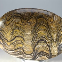 Stromatolite Crystals