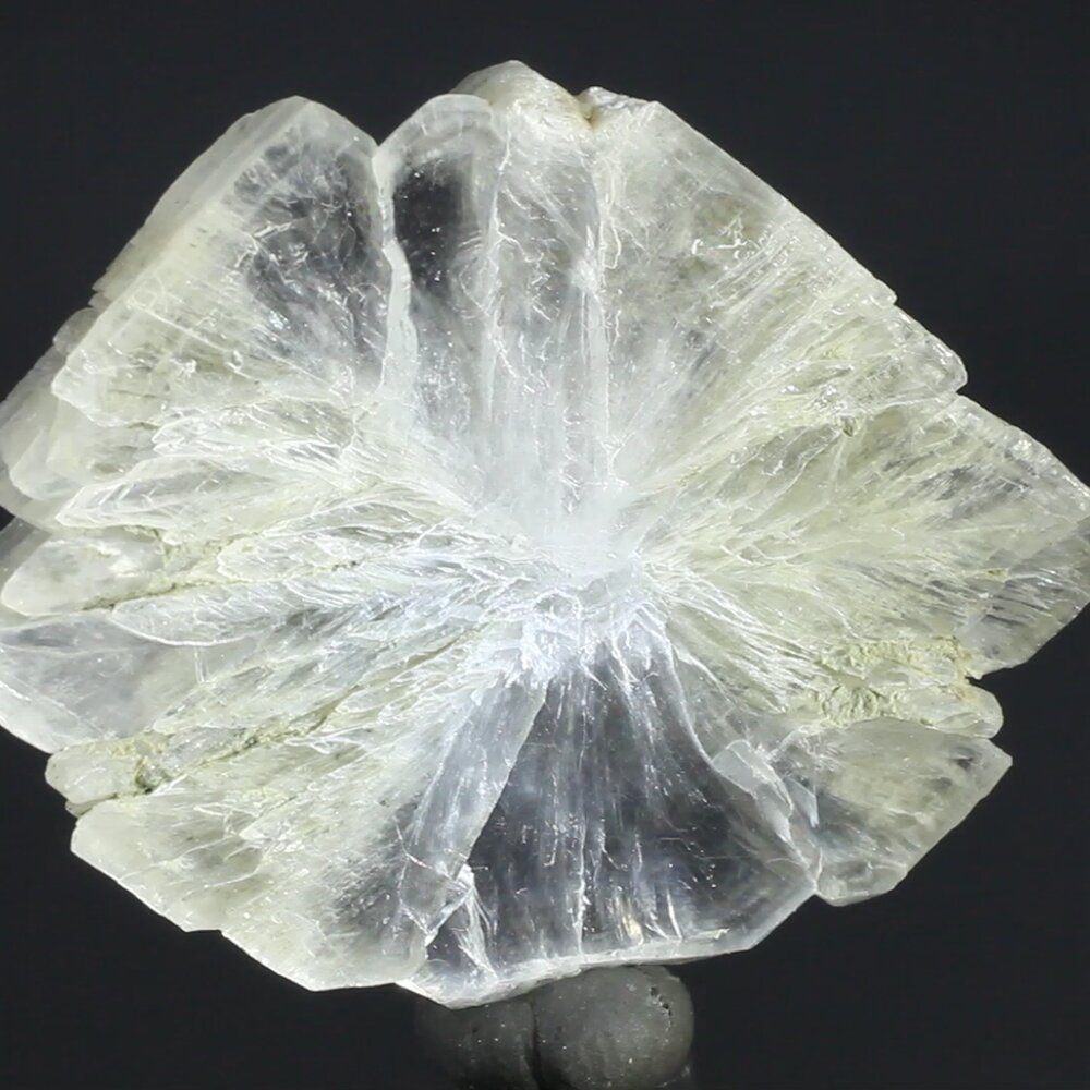 Tunellite