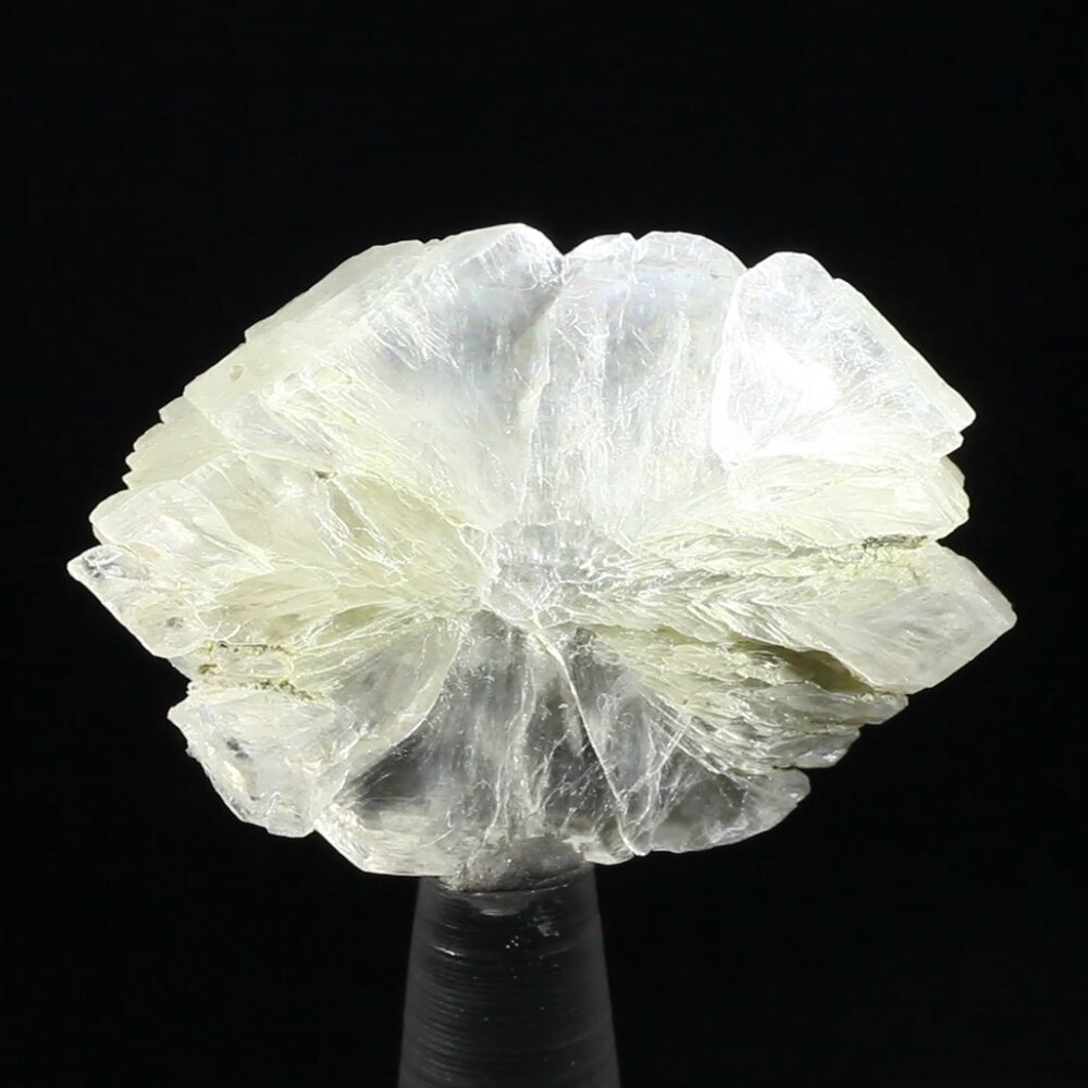 Tunellite