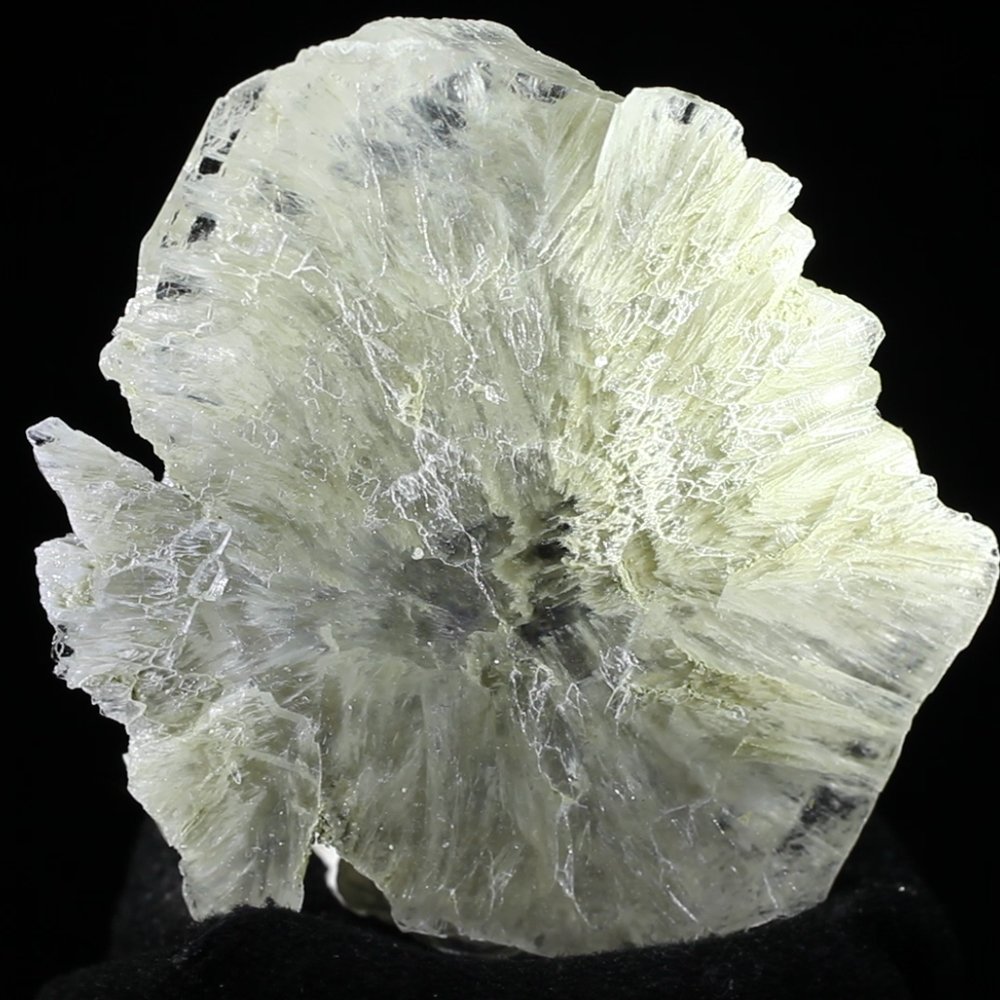 Tunellite