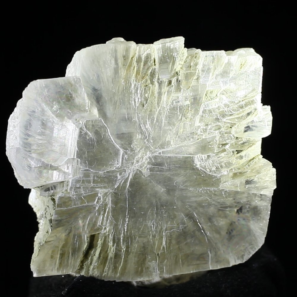Tunellite