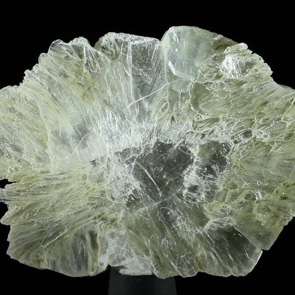 Tunellite