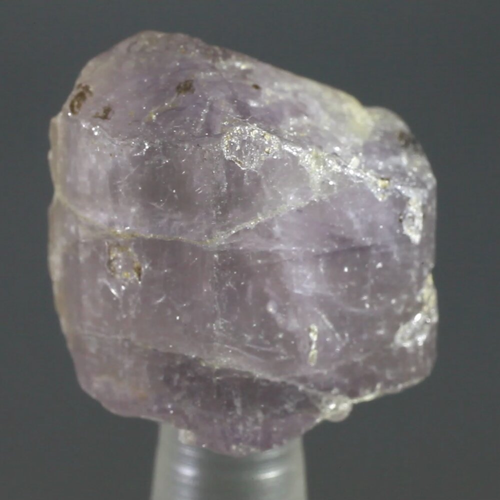 Scapolite